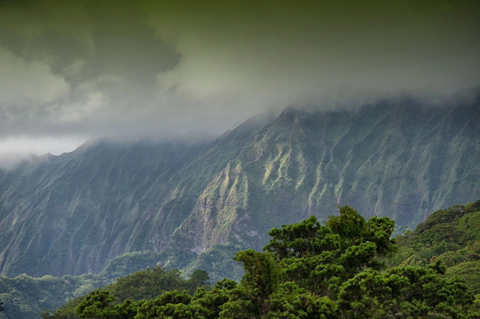 Honolulu Facts: 7 Key Things to Know - Honolulu Travels